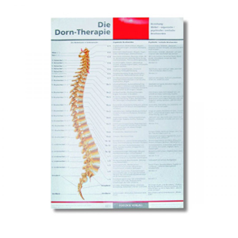 Koch: Poster "Die Dorn-Therapie" Format 59,4 cm x 84,0 cm-0338130